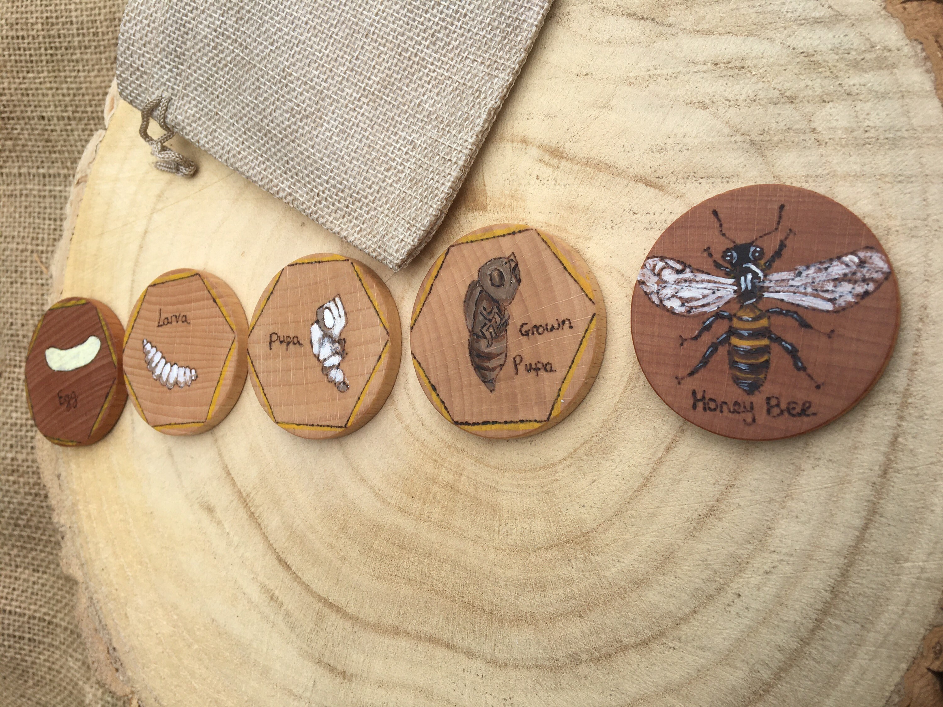 Life Cycle of a Honey Bee Sequencing Set Wooden Ordering - Etsy