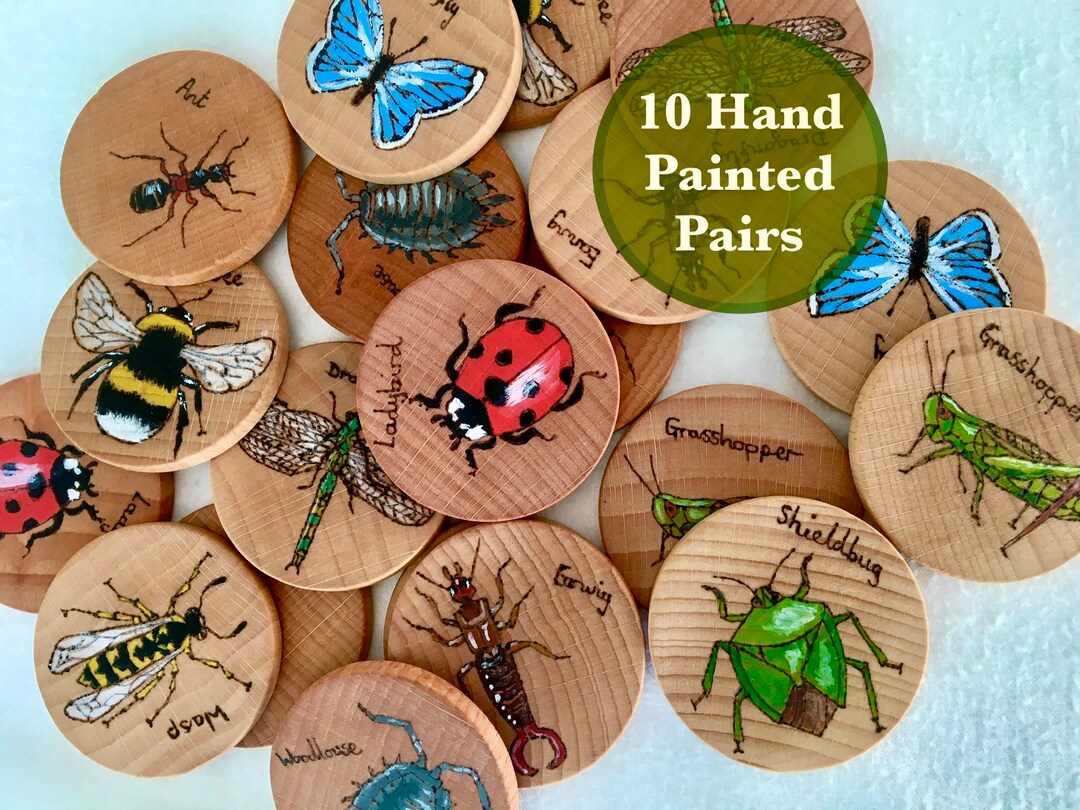Matching Insects Montessori Game, 10 Hand Painted Pairs, Forest School ...