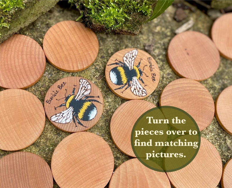 Matching Insects Montessori Game, 10 Hand Painted Pairs, Forest School ...
