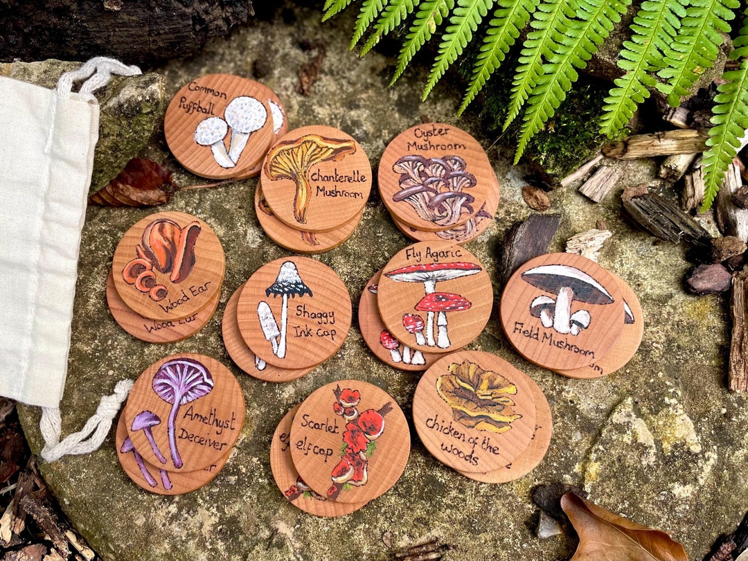 Woodland Mushroom Memory Game, a Forest School Inspired Toadstool ...