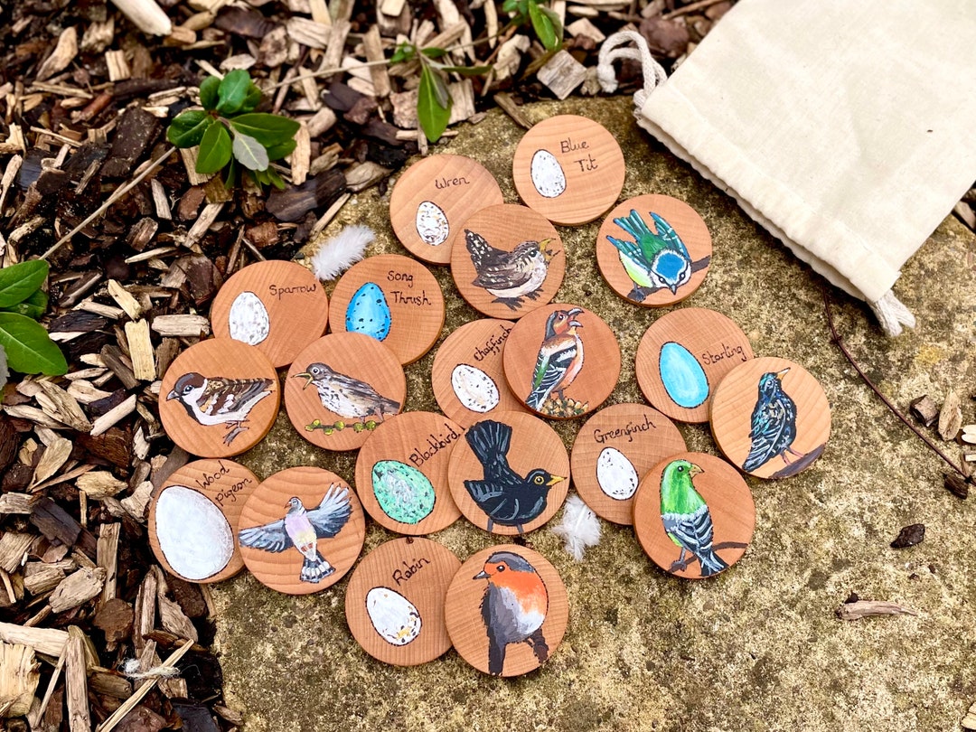 Birds and Their Eggs Matching Game, 20 Montessori Inspired Wooden Flash ...