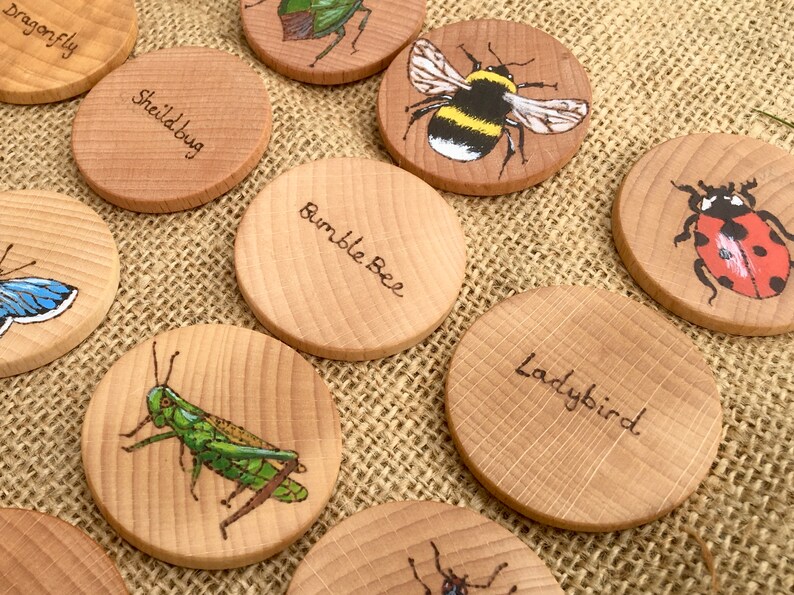 Matching Insects Montessori Game, 10 Hand Painted Pairs, Forest School ...