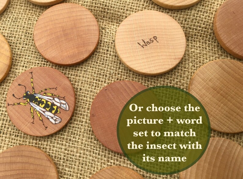 Matching Insects Montessori Game, 10 Hand Painted Pairs, Forest School ...