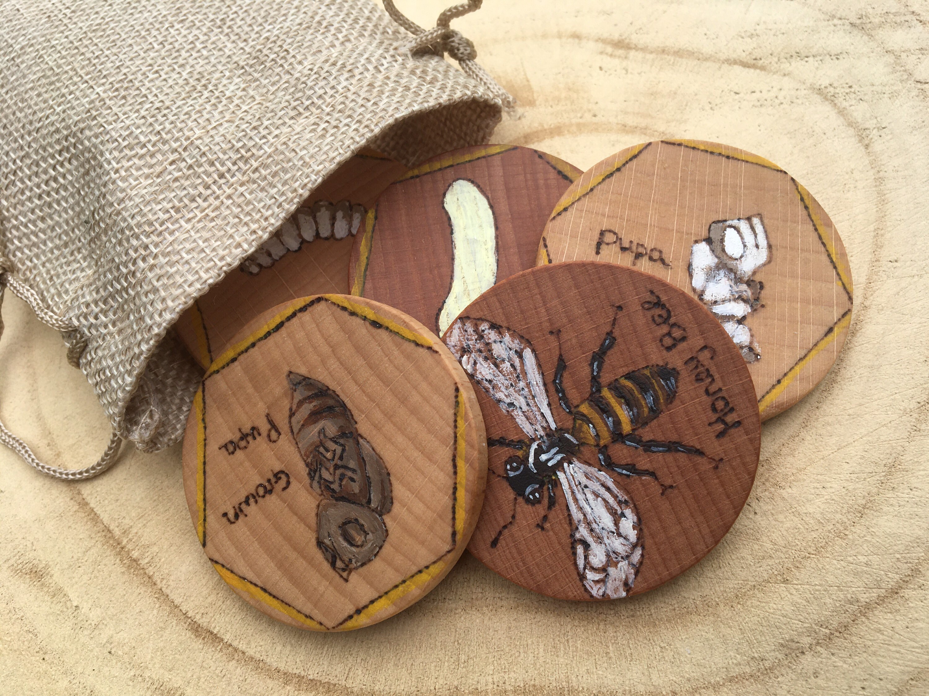 Life Cycle of a Honey Bee Sequencing Set Wooden Ordering - Etsy