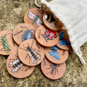 Matching Insects Montessori Game, 10 Hand Painted Pairs, Forest School ...