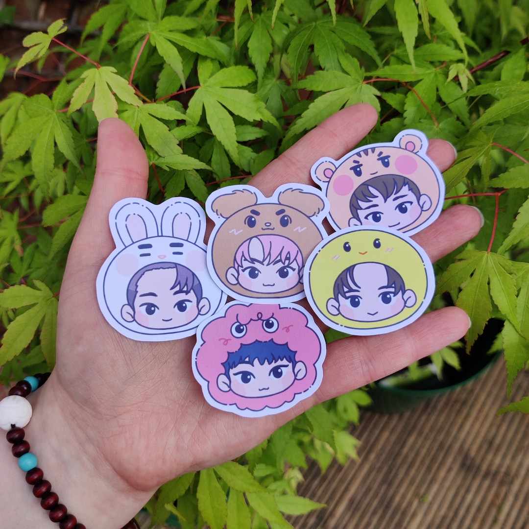Shinee Mascot Sticker Pack - Etsy
