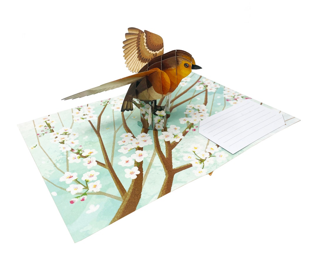 Robin Bird - WOW 3D Greeting Pop up Card for All Occasions, Birthday ...