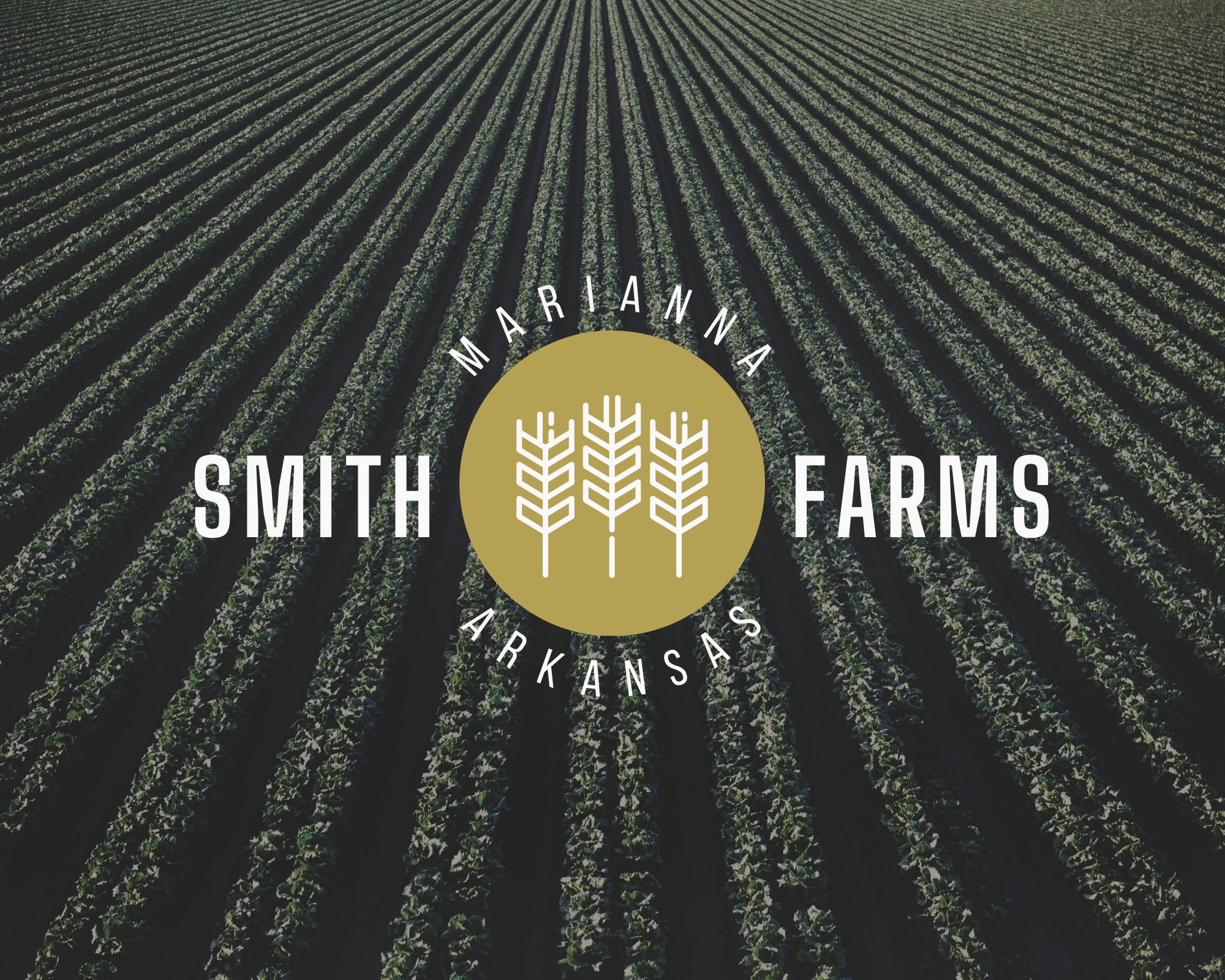 Modern Agriculture, Farm Branding Kit, Canva Template - Etsy