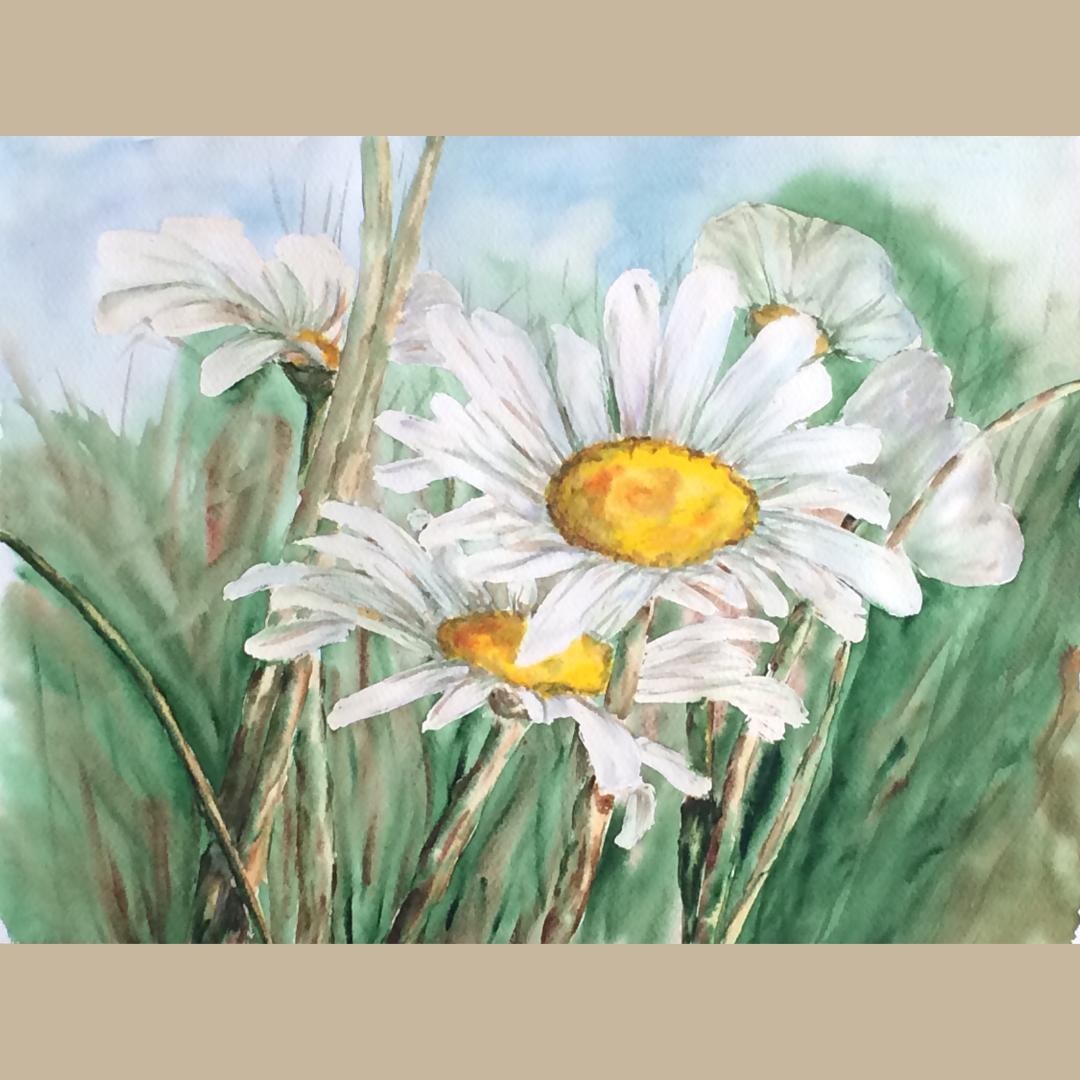 Original Daisy Watercolor Painting: Floral Impressionism Artwork (30x40 ...