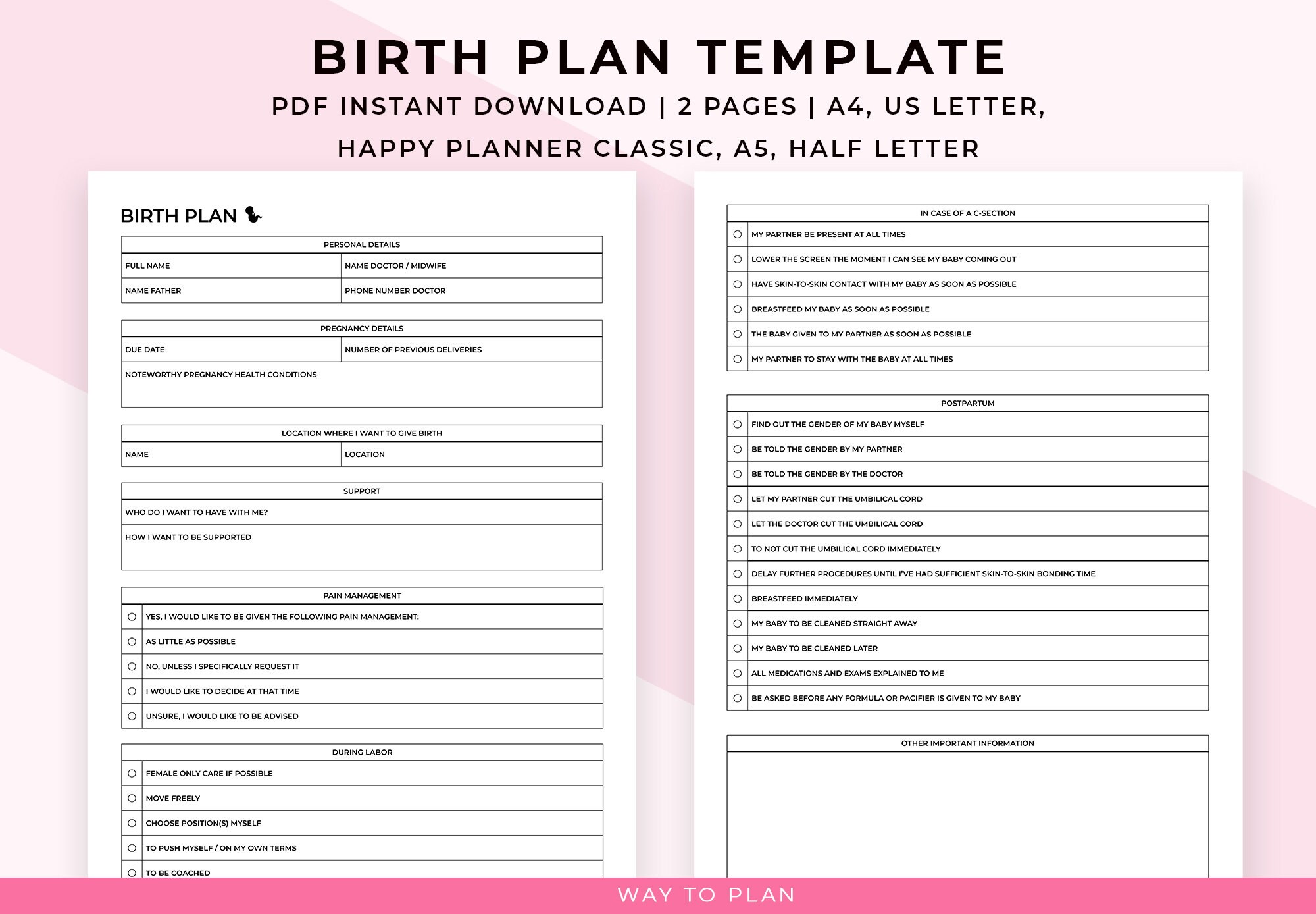 Birth Plan Template Printable My Birth Plan Preferences Simple