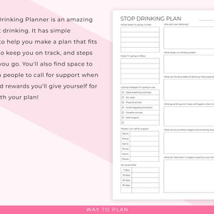 Stop Drinking Planner to Help You Quit Drinking in 2025 - Etsy