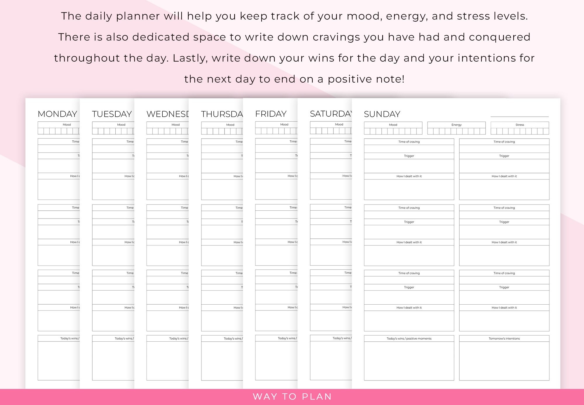 Stop Drinking Planner to Help You Quit Drinking in 2025 - Etsy