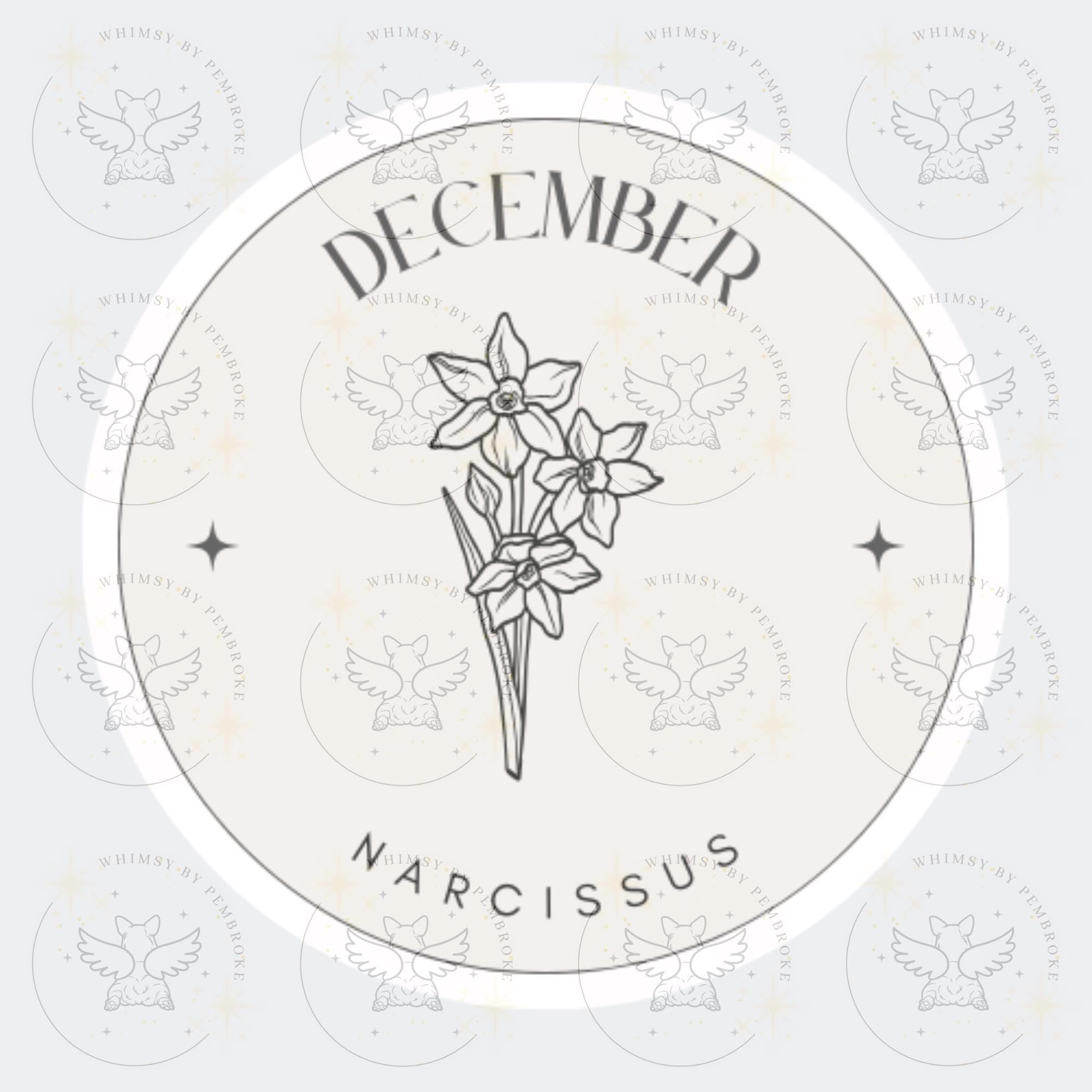 December Narcissus Birth Flower SVG, December Narcissus Birth Flower ...