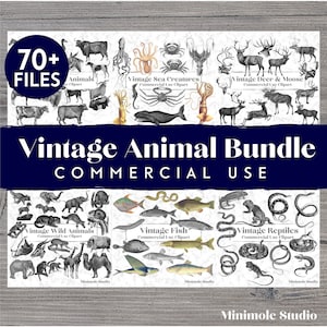 Vintage Animal Clipart Bundle Farm Safari Woodland Fish - Etsy Canada