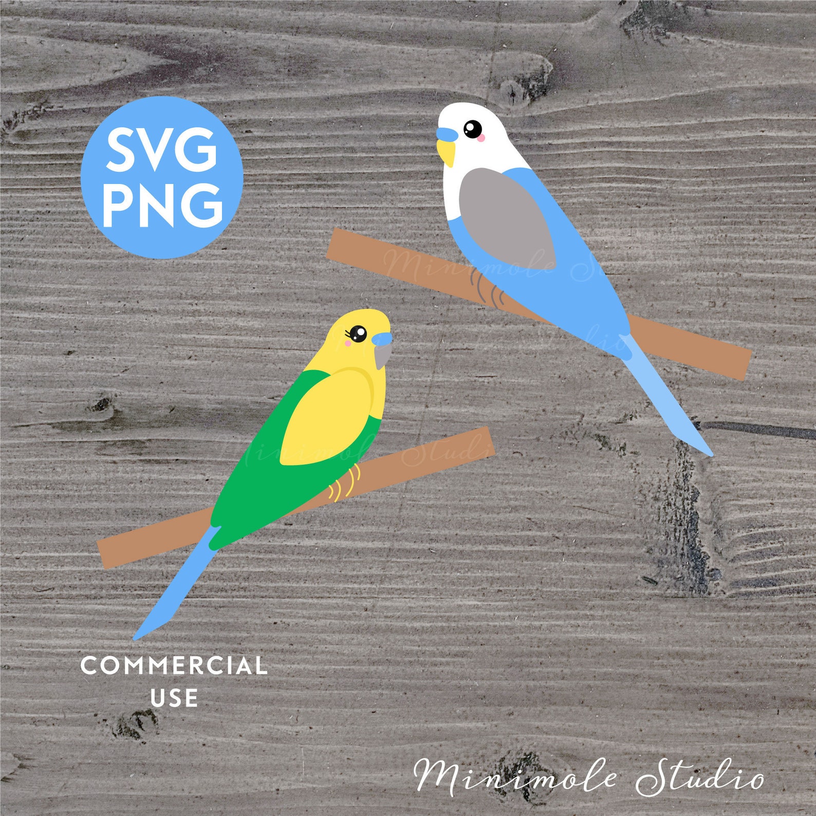 Budgie SVG Bird Svg Budgerigar Clipart Parrot Clipart - Etsy UK