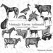 Vintage Animal Clipart Bundle Farm Safari Woodland Fish - Etsy Canada