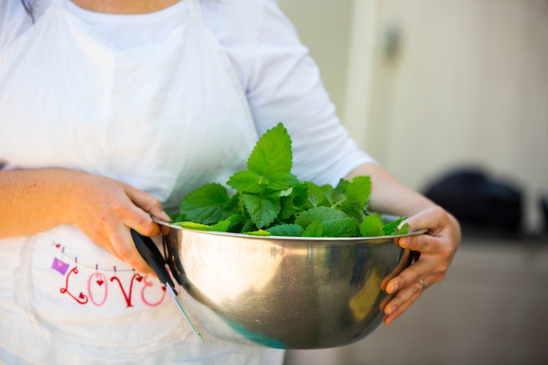 Herbal Postpartum Healing Bath Tea, Herbs Grown on Our Holistically ...