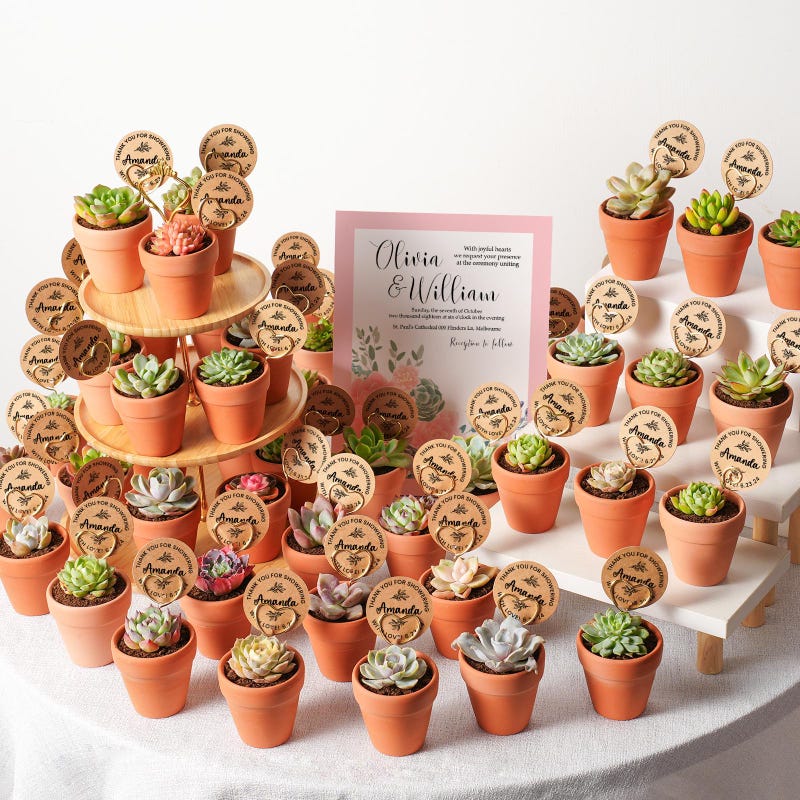 Mini Clay Pots - Etsy