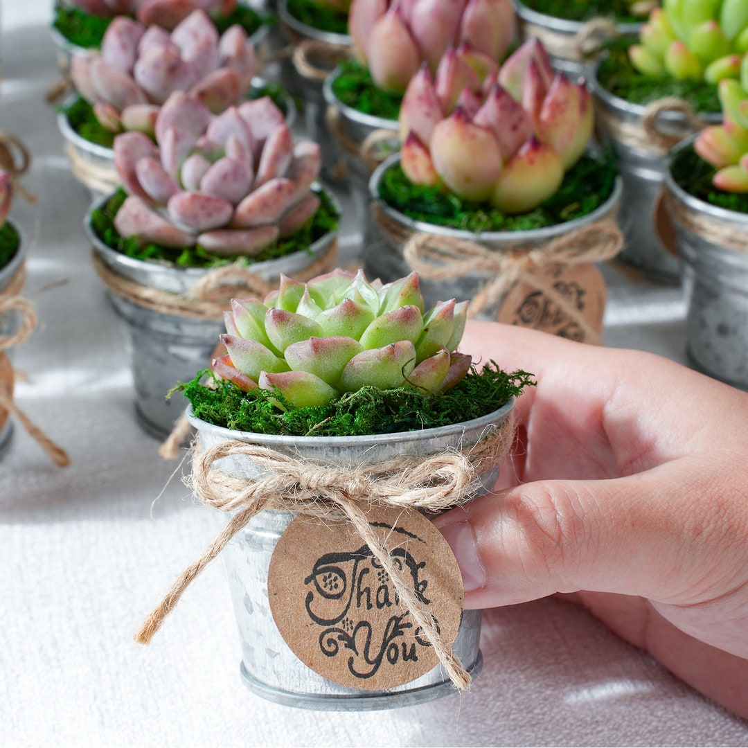 Mini Buckets+accessaries, Wedding Party | Bridal Shower | Baby Shower ...