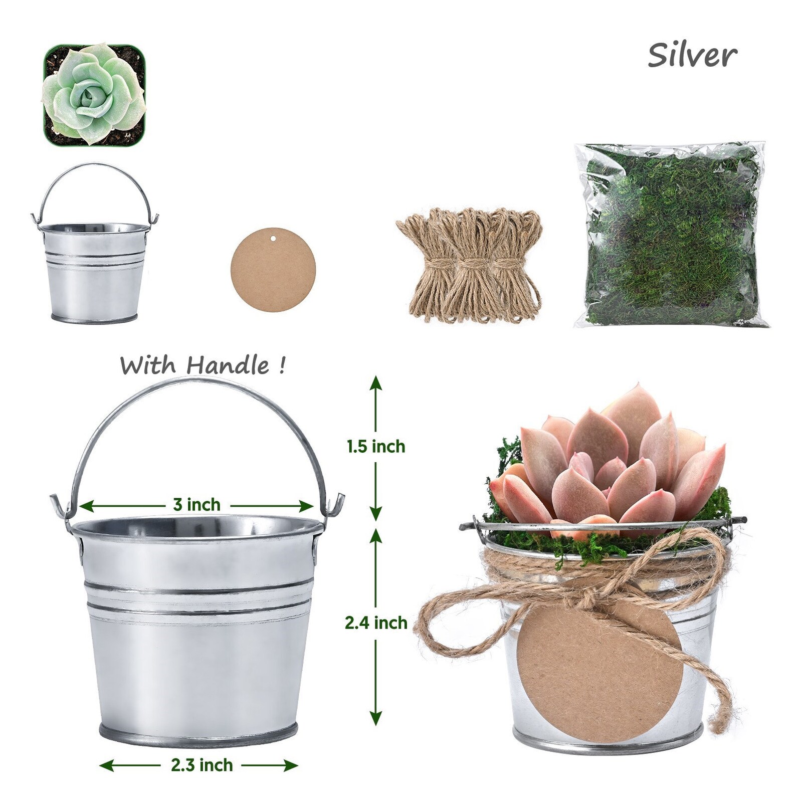 36/40/50 Pack Live Succulent & Mini Metal Bucketswedding Party Favor ...