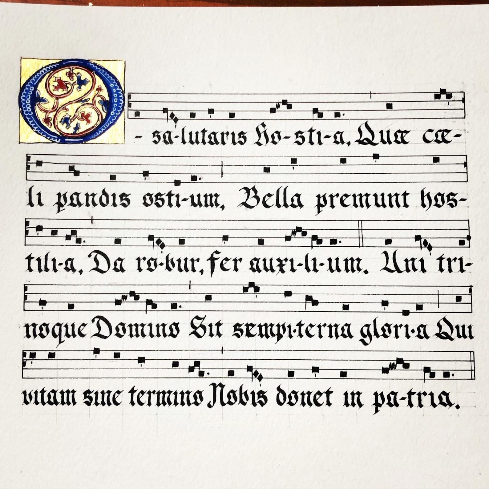 O Salutaris Hostia Illuminated Calligraphy Gregorian Chant | Etsy
