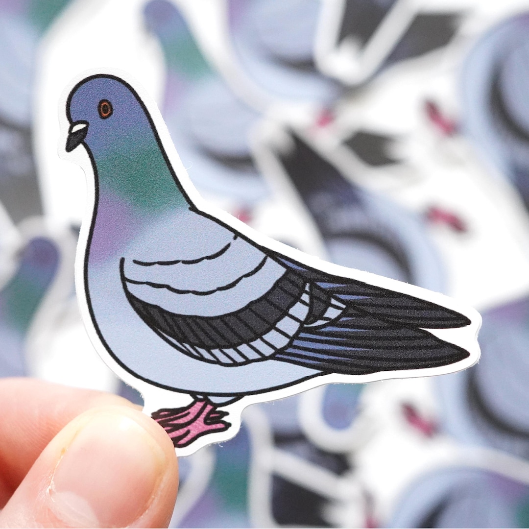 Pigeon Sticker Waterproof UV Stable Vinyl Matte 2 Inch - Etsy