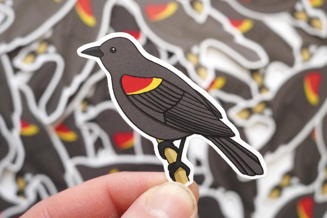 Red Winged Blackbird Sticker Waterproof UV Stable Vinyl Matte 2 Inch - Etsy