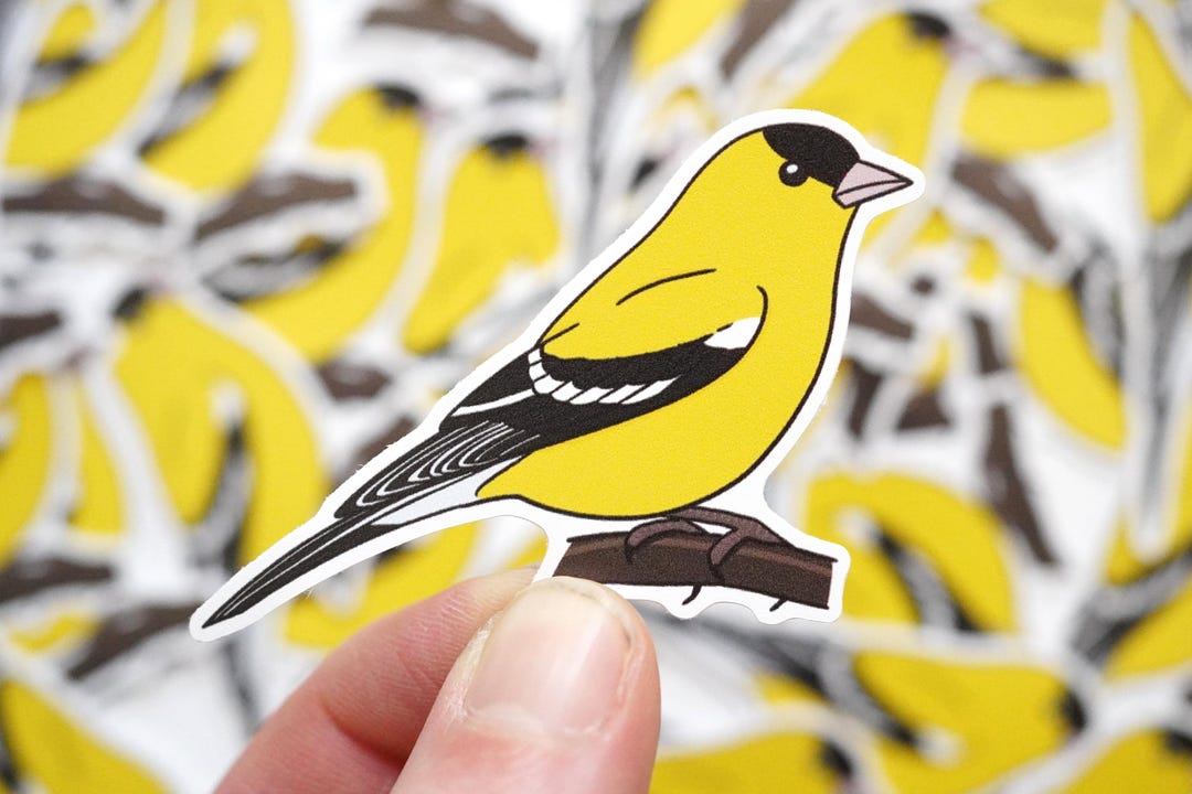 Goldfinch Bird Vinyl Sticker Waterproof UV Stable Vinyl Matte 2 Inch - Etsy