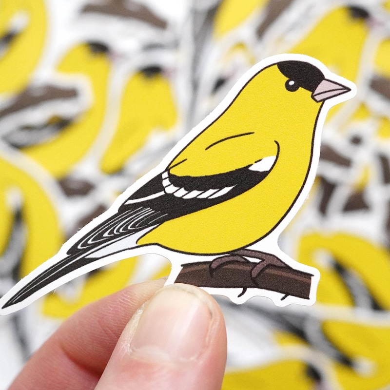 Goldfinch Bird - Etsy