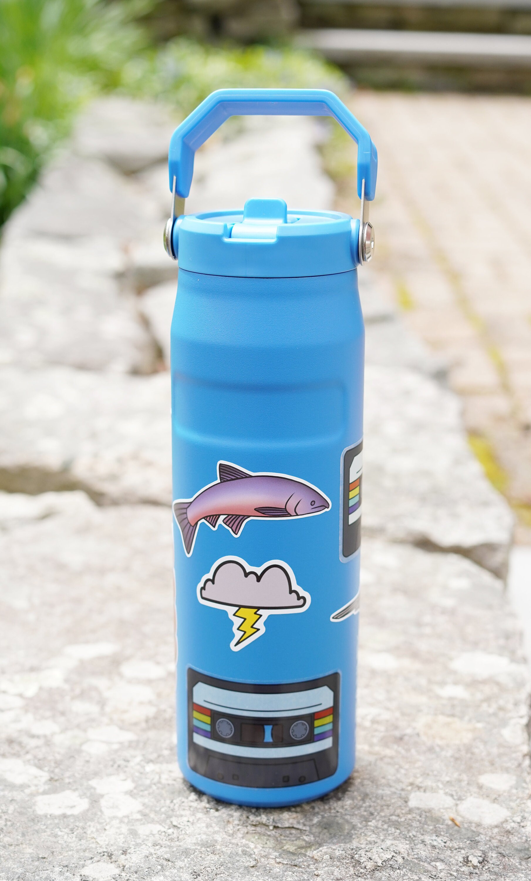 Coho Salmon Sticker Waterproof UV Stable Vinyl Matte 2 Inch - Etsy