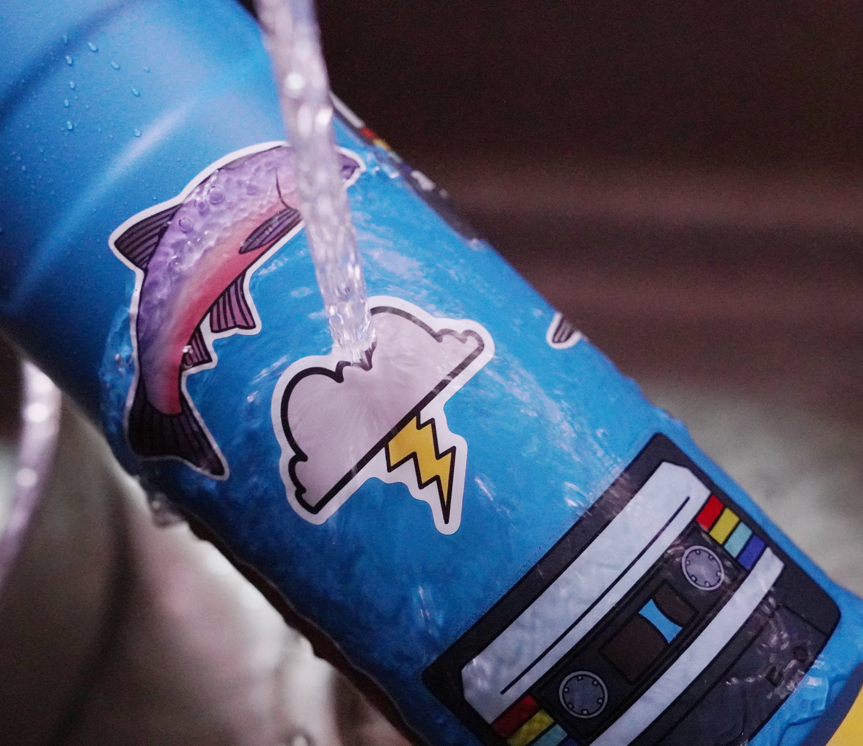 Coho Salmon Sticker Waterproof UV Stable Vinyl Matte 2 Inch - Etsy