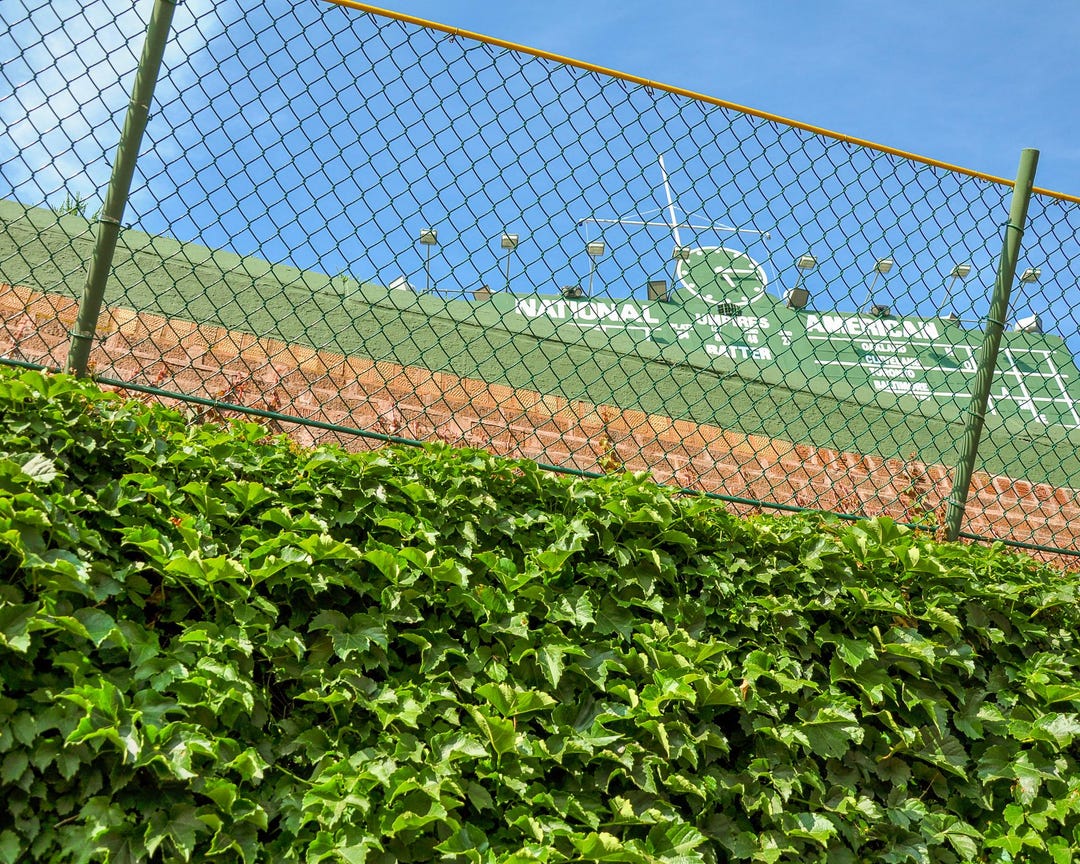 Wrigley Field Framed Photo, Bricks and Ivy, Chicago Cubs, Inside ...