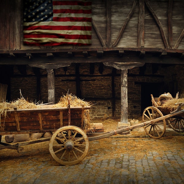 Old Barn Door - Etsy