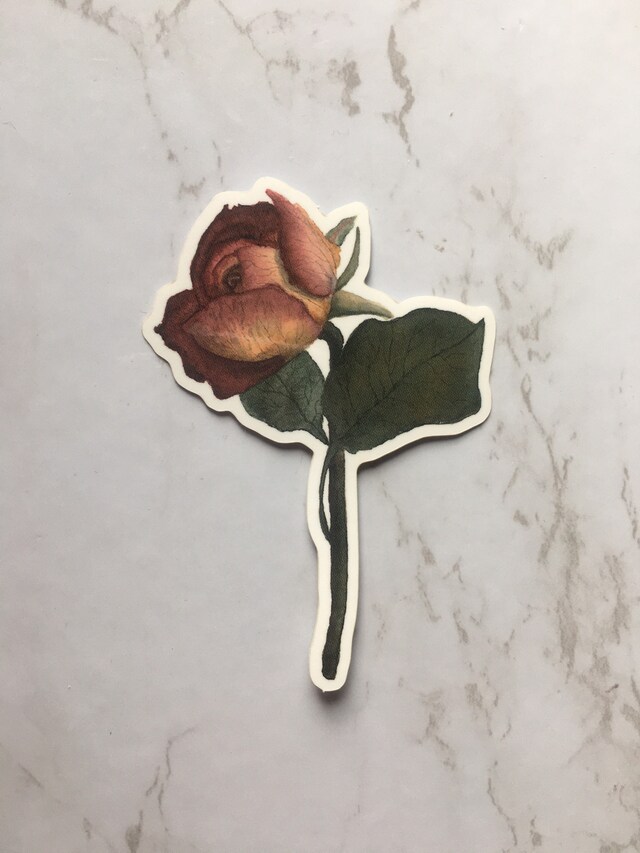 TheBeautyofRoses - Etsy