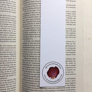 Pink and Purple Rose Paper Bookmark | Dried Rose Bookmark | Flower ...