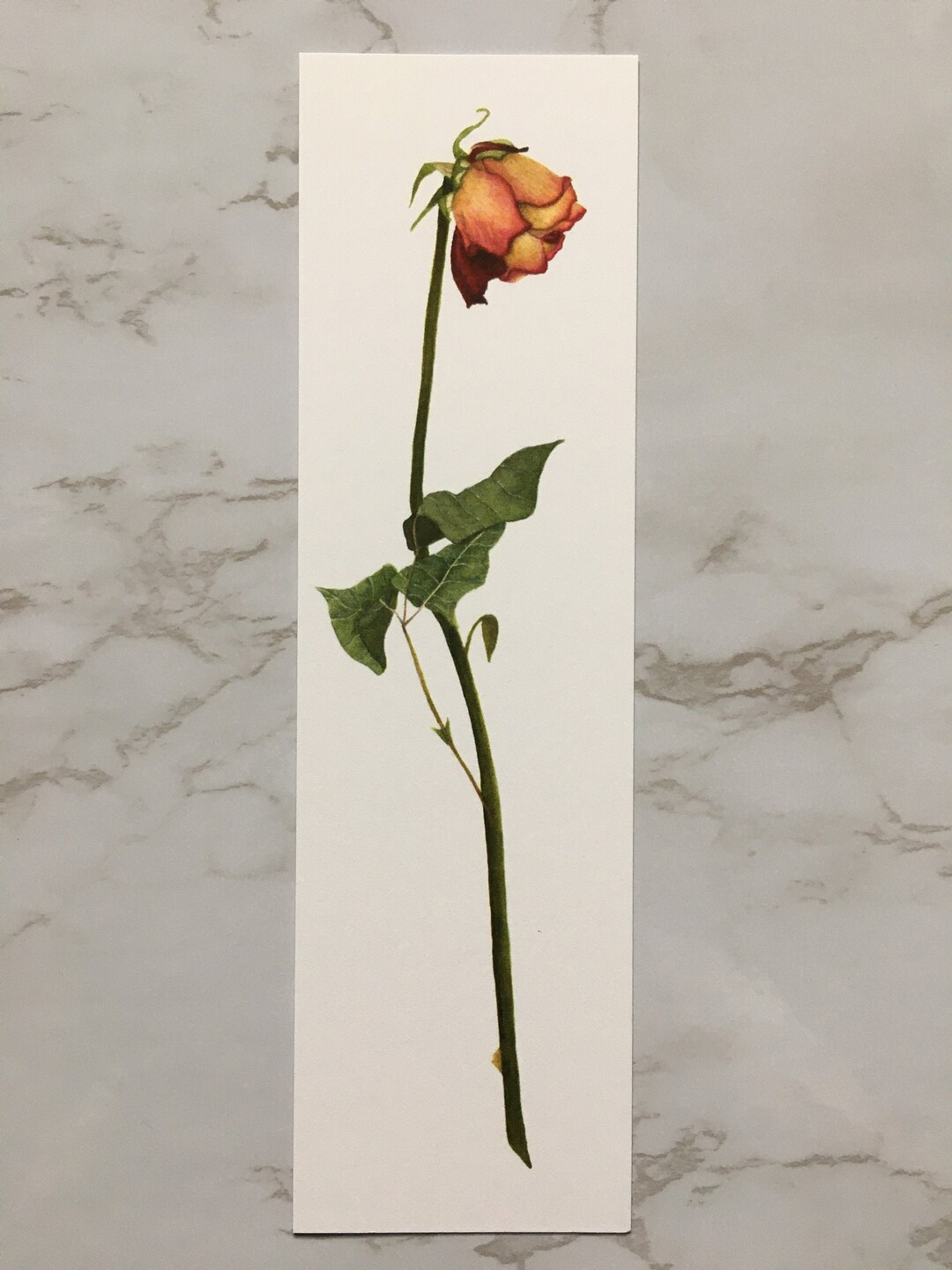 Orange and Red Rose Bookmark | Floral Bookmark | Botanical Art Bookmark ...