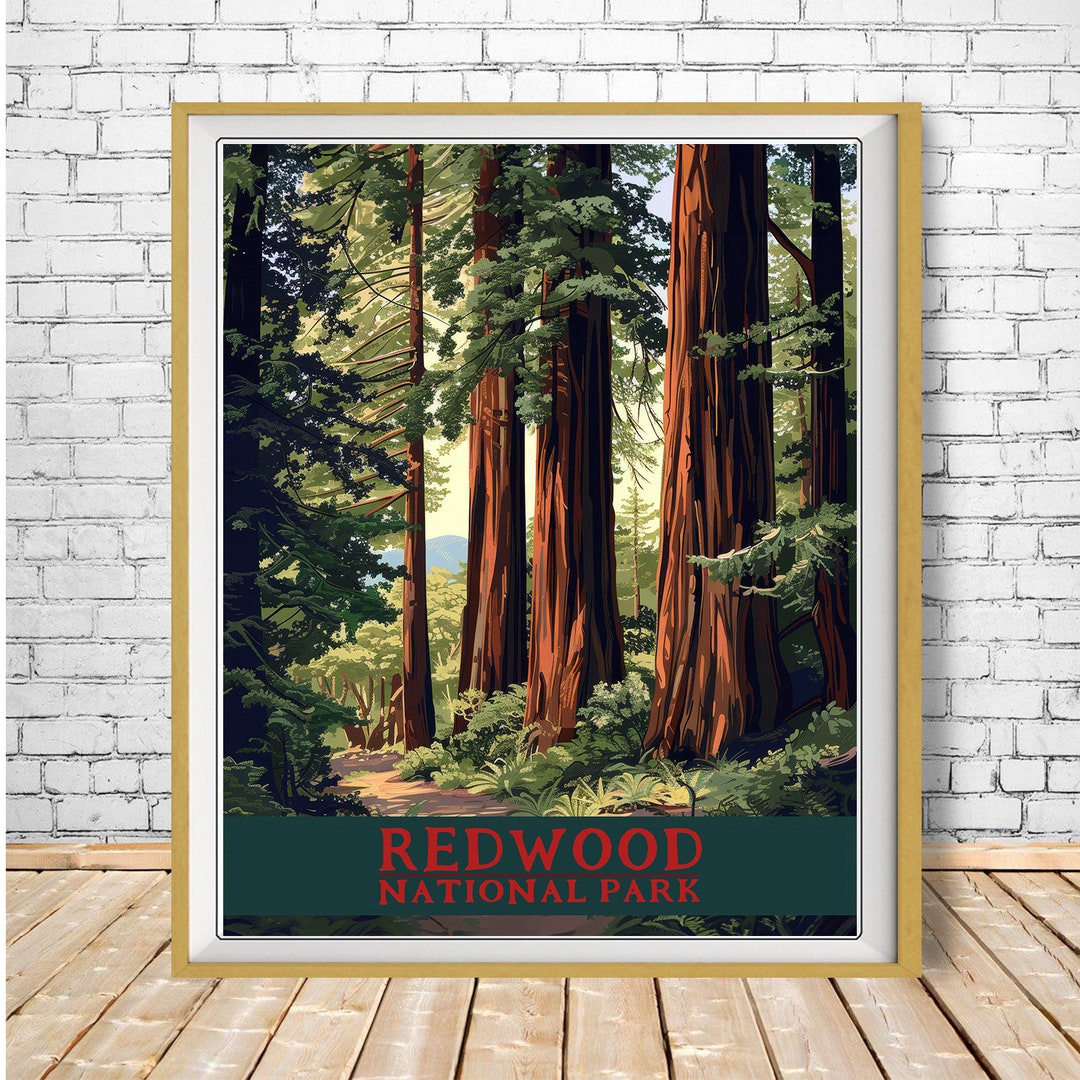 Redwood National Park Poster, Redwoods Print, California Poster ...