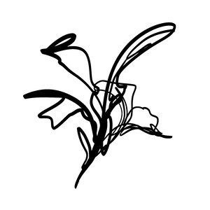 Plant Series (variations), 8.5x11" Study of Plants & Greenery Botany ...