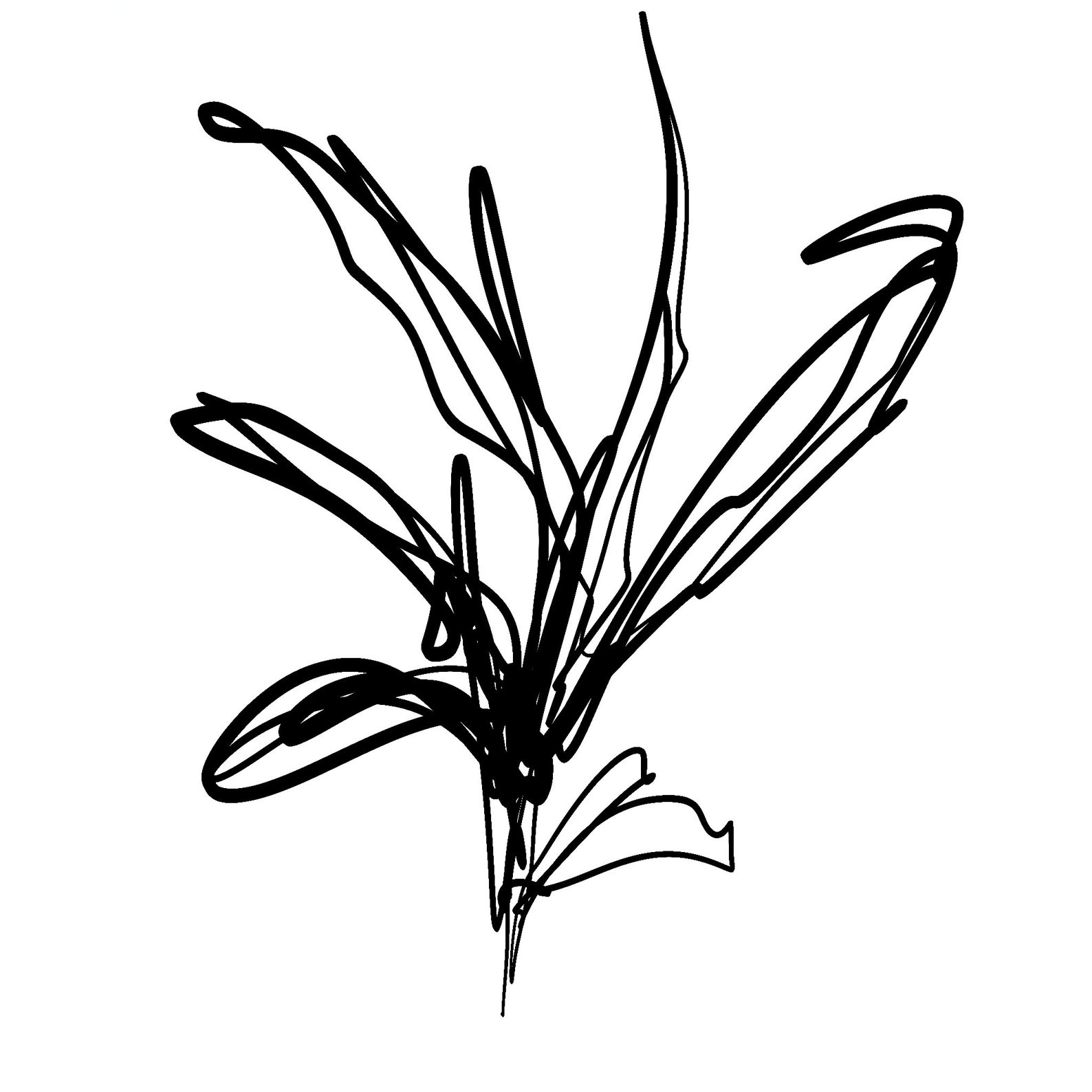 Plant Series (variations), 8.5x11" Study of Plants & Greenery Botany ...