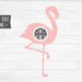 Instant SVG/DXF/PNG Flamingo Pair Monogram Frame, Summer Svg, Dxf, Cut ...