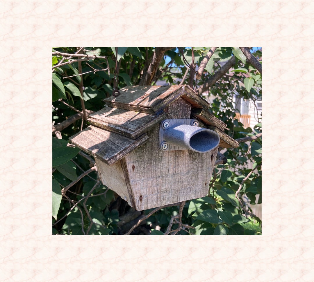 NEW DESIGN - 1"(h) X 1-3/4"(w) X 2"(d) Oval Predator Guard (house Wrens ...