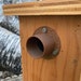 Birdhouse Predator Guard 1-1/2" Bluebirds / House Finches / Hairy ...