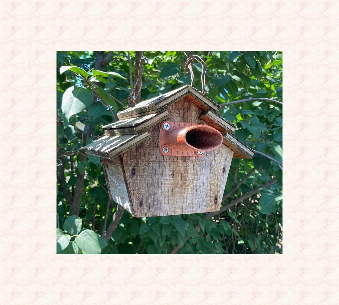 NEW DESIGN - 1"(h) X 1-3/4"(w) X 2"(d) Oval Predator Guard (house Wrens ...