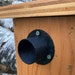 Birdhouse Predator Guard 1-1/2 Bluebirds / House Finches - Etsy