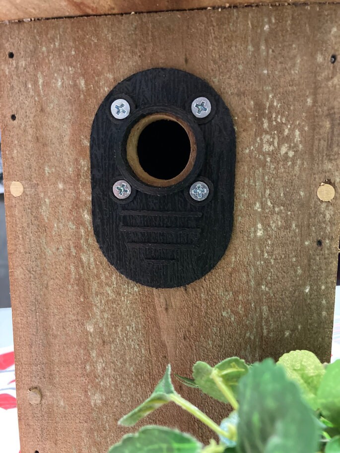 Birdhouse Predator Guard 1-1/8 Chickadees / Warblers / | Etsy