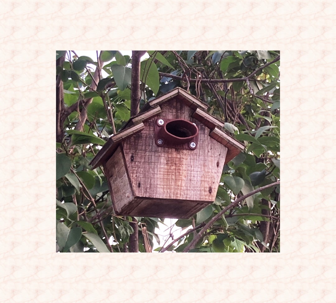 NEW DESIGN - 1"(h) X 1-3/4"(w) X 1"(d) Oval Predator Guard (house Wrens ...