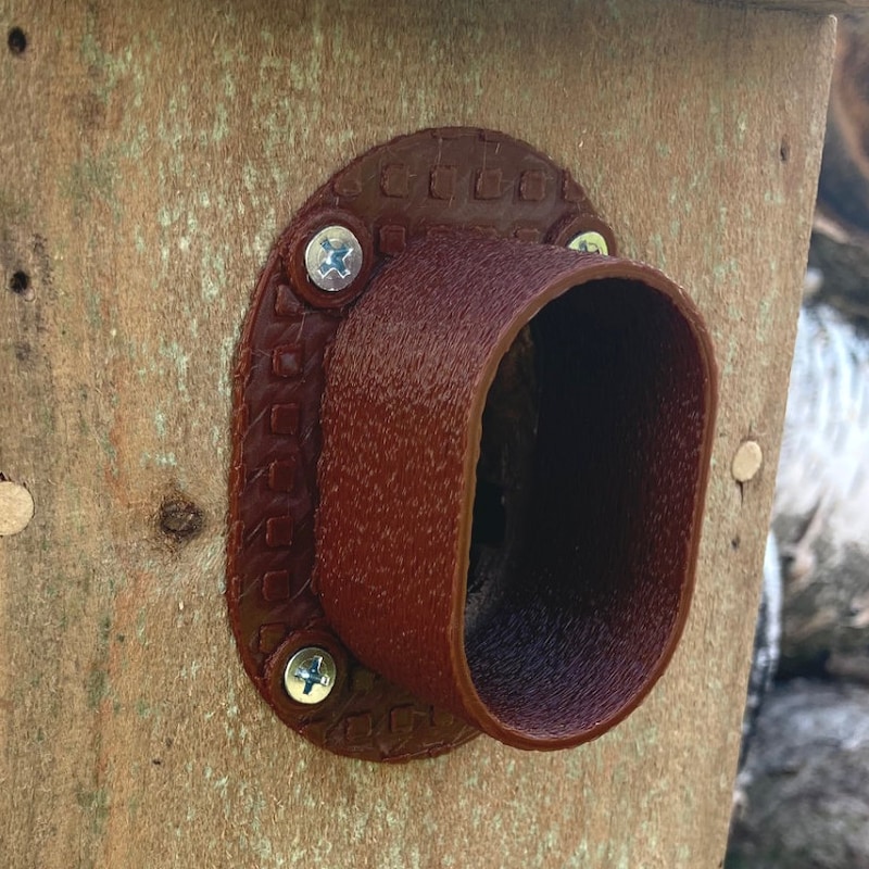 Bird House Predator Guard - Etsy