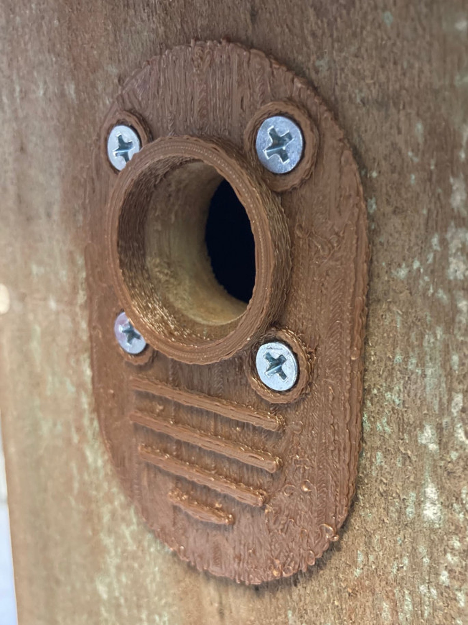 Birdhouse Predator Guard 1-1/2 Bluebirds / House Finches - Etsy