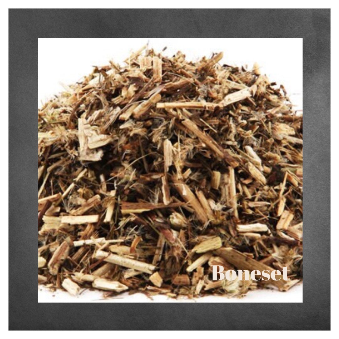 Boneset Dried Herbs Bark Herbal Tea Herbal Remedies - Etsy