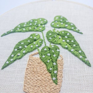 Polka Dot Begonia Embroidery PDF Pattern | Etsy